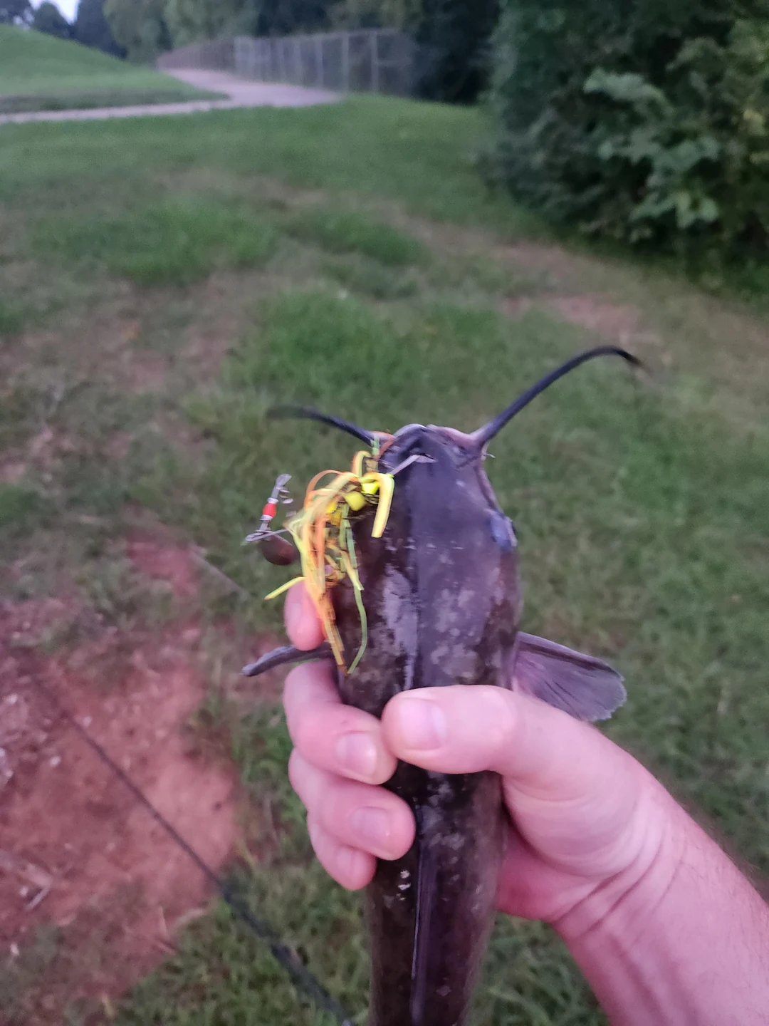 Finally happened | Scrolller