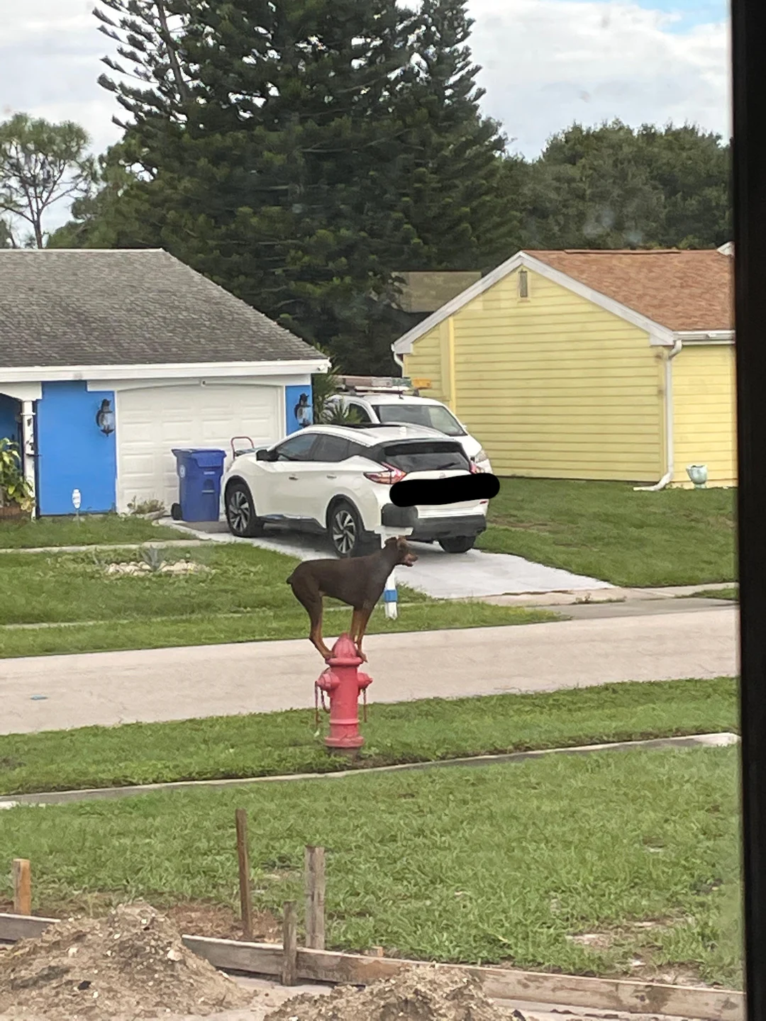 afraid to touch the ground.. | Scrolller