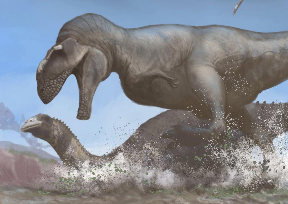 Carcharodontosaurus has a successful ambush on a Rebbachisaurus (by Dr. Mark Witton) | Scrolller