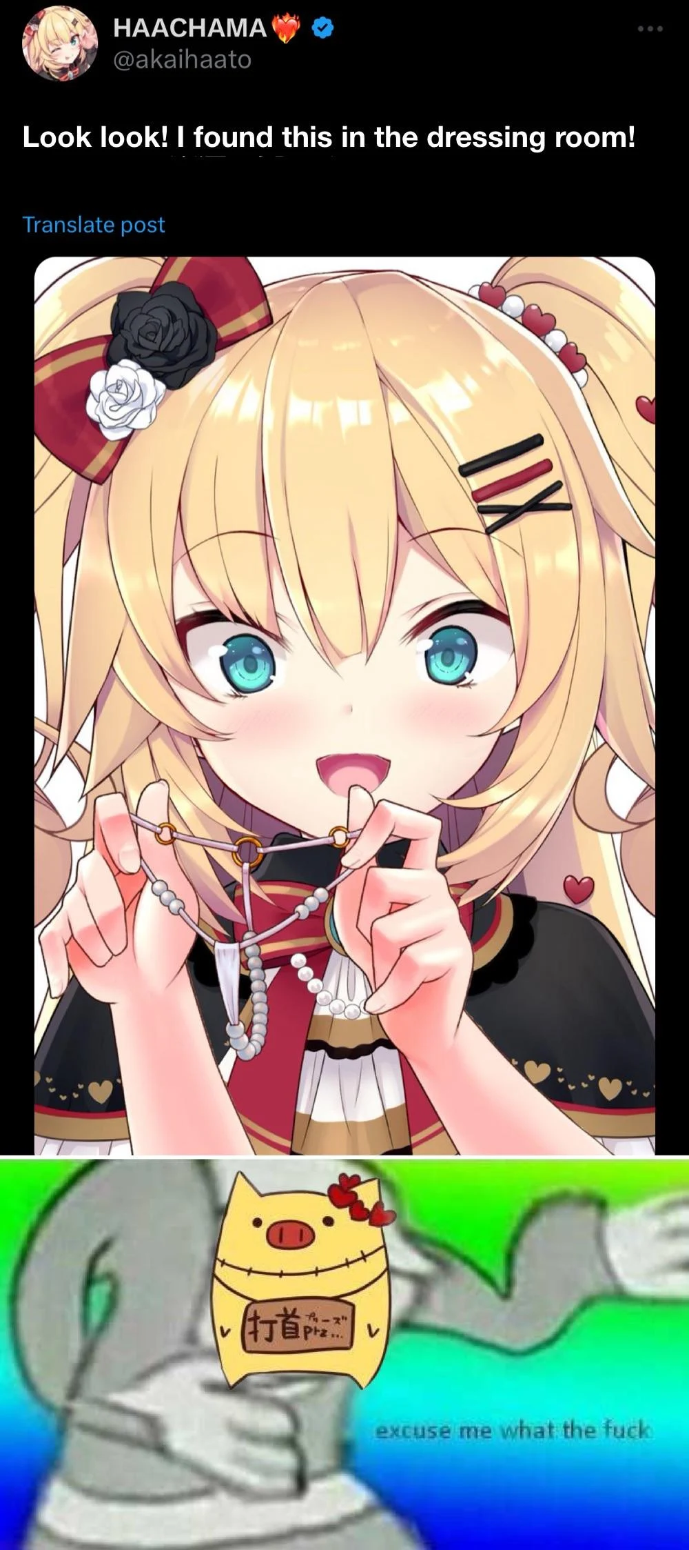 What have you brought to this cursed land | Scrolller