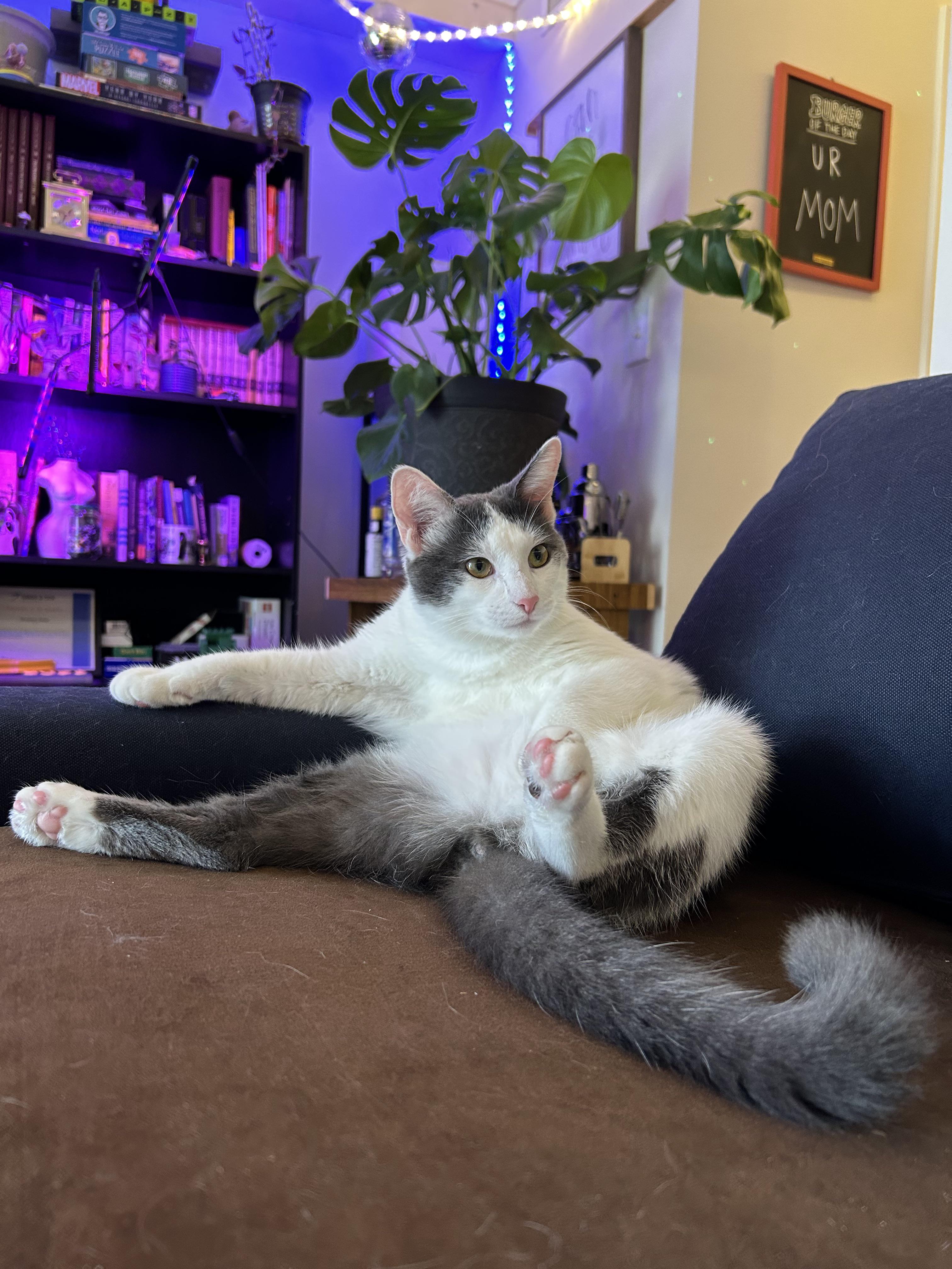 Caught in 4K | Scrolller