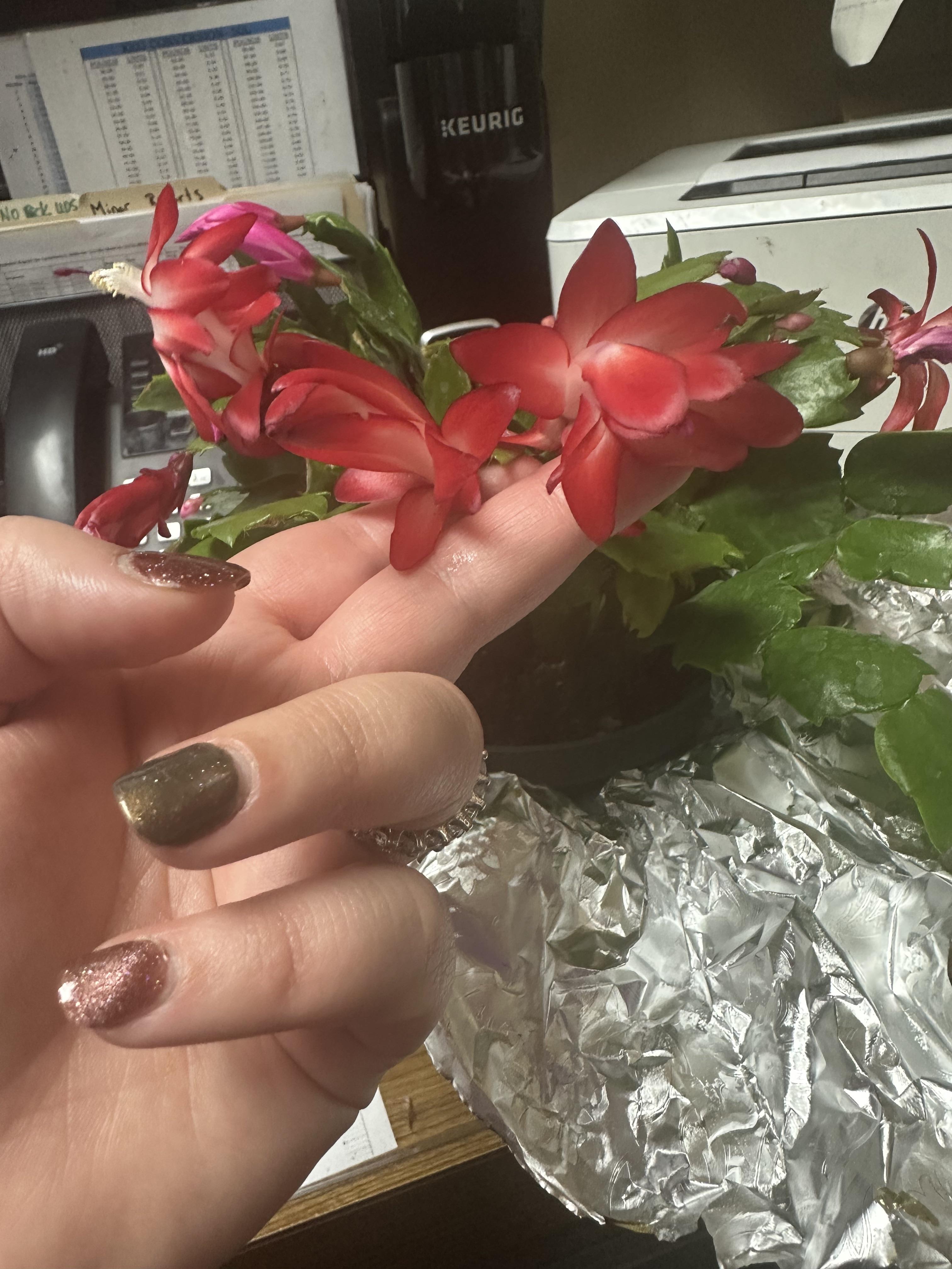 Can anyone help ID? | Scrolller