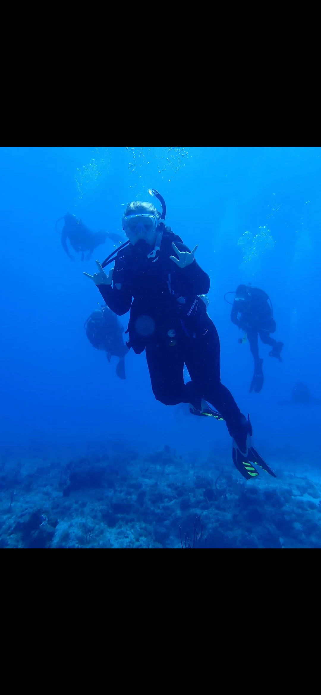 I went scuba diving with sharks the other day | Scrolller