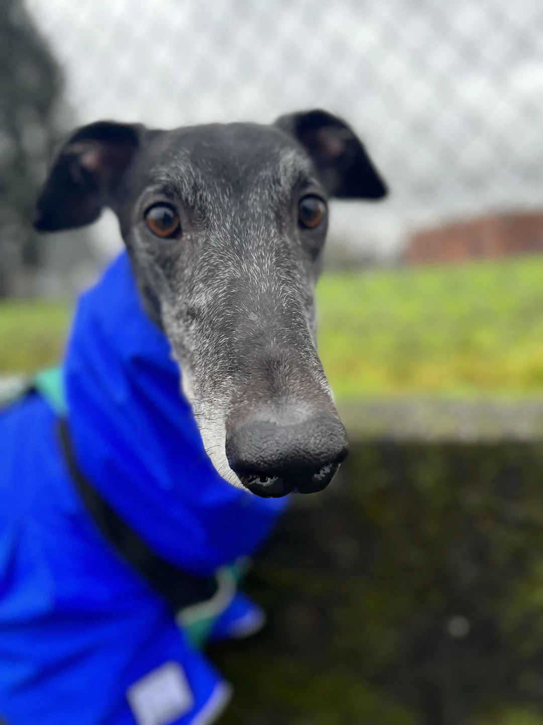 Portrait mode coming through to capture Danny and all his handsomeness :) | Scrolller
