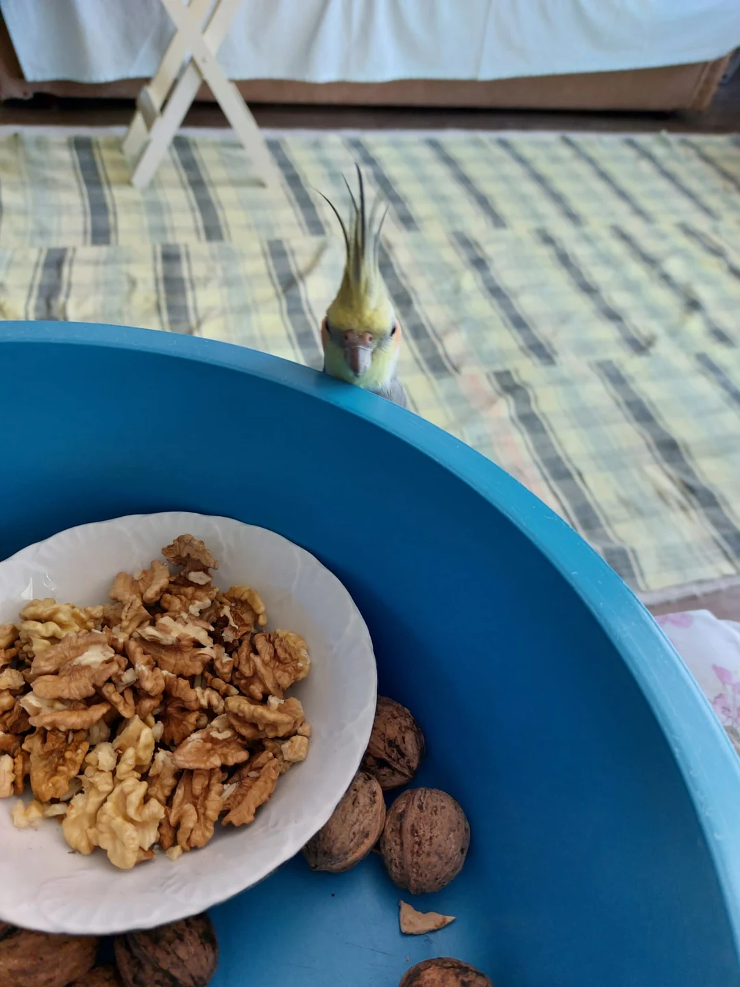 Give me my payment!! | Scrolller