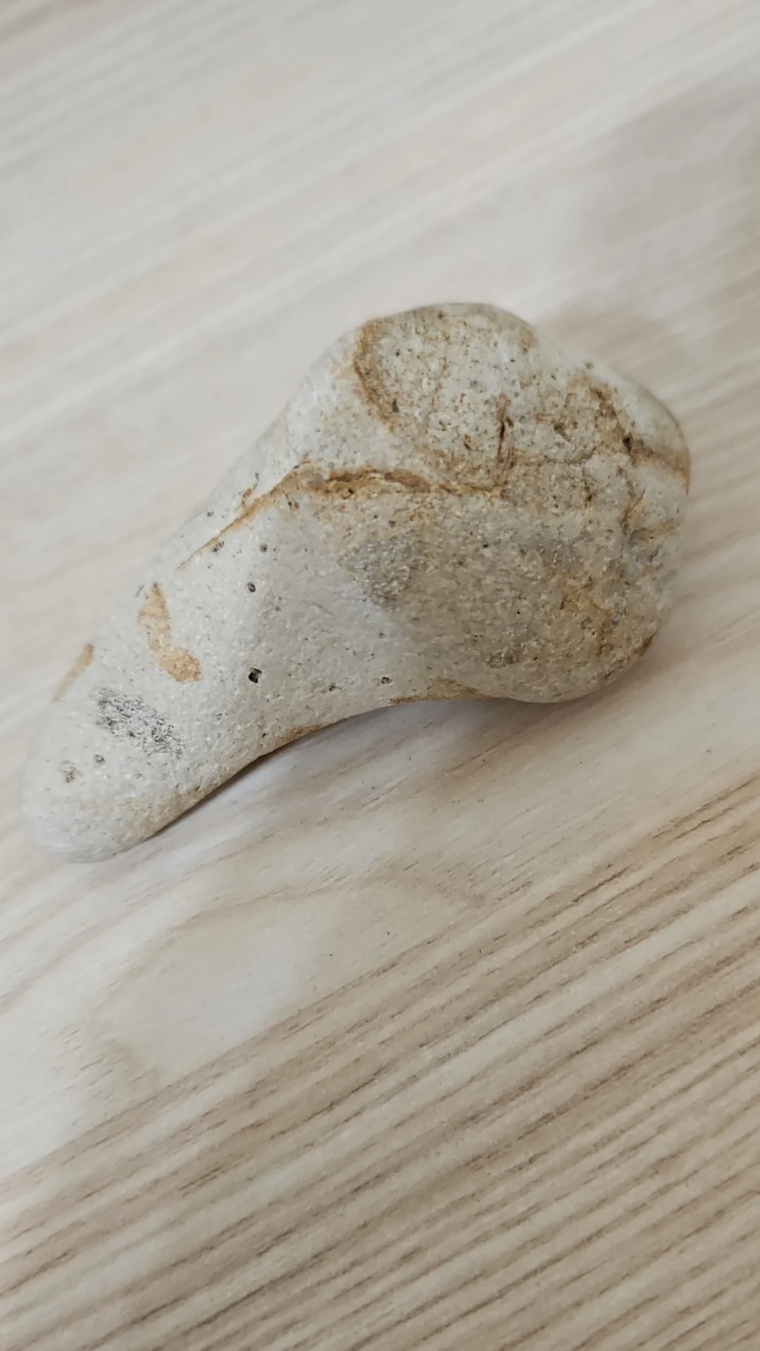Hey guys I was wondering if this is a fossilized tooth of some kind | Scrolller