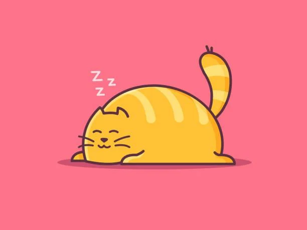 Fat Cat Nap | Scrolller