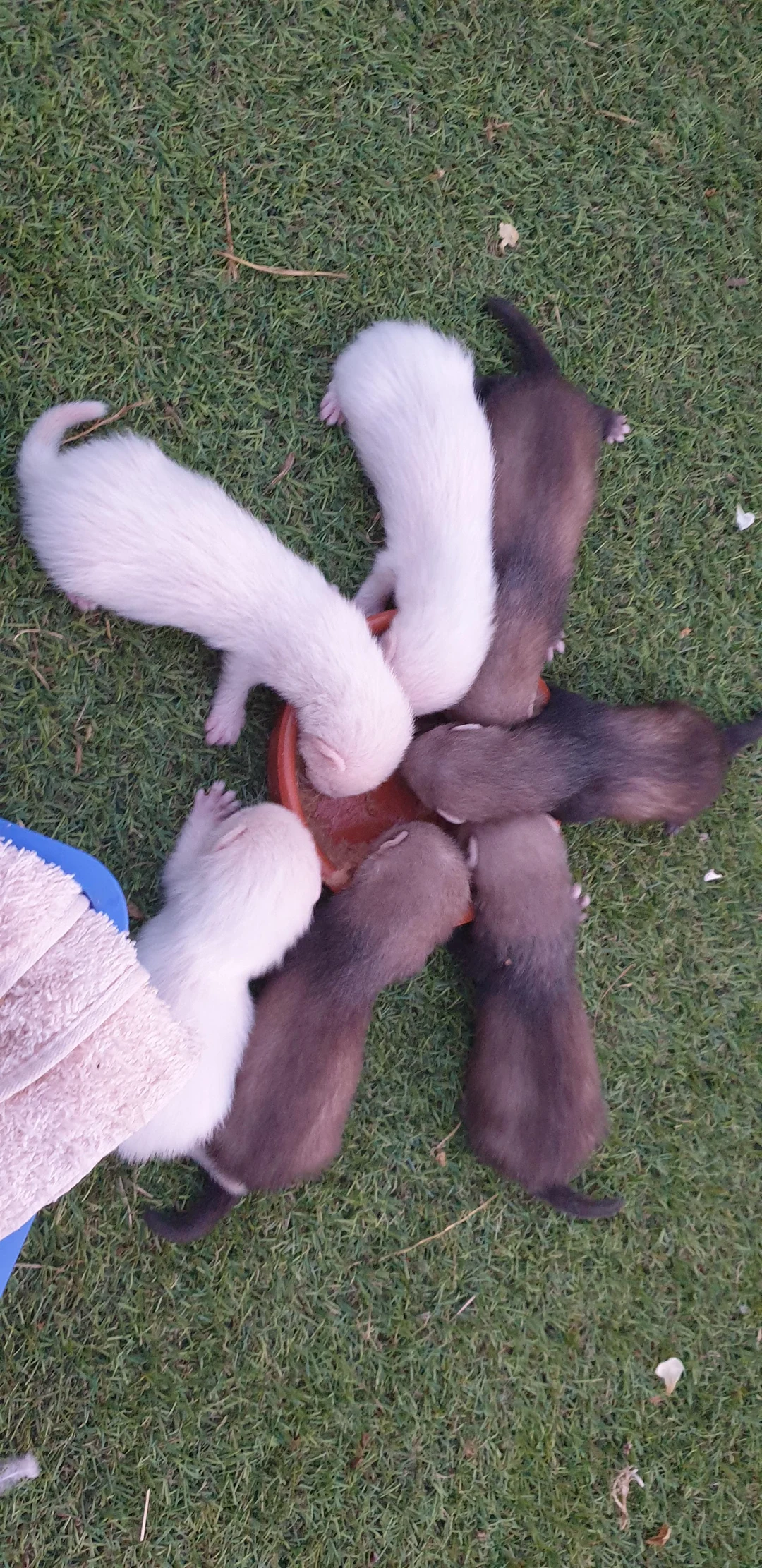 More babies | Scrolller