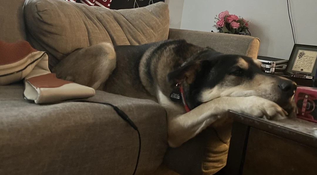 Sitting is hard | Scrolller