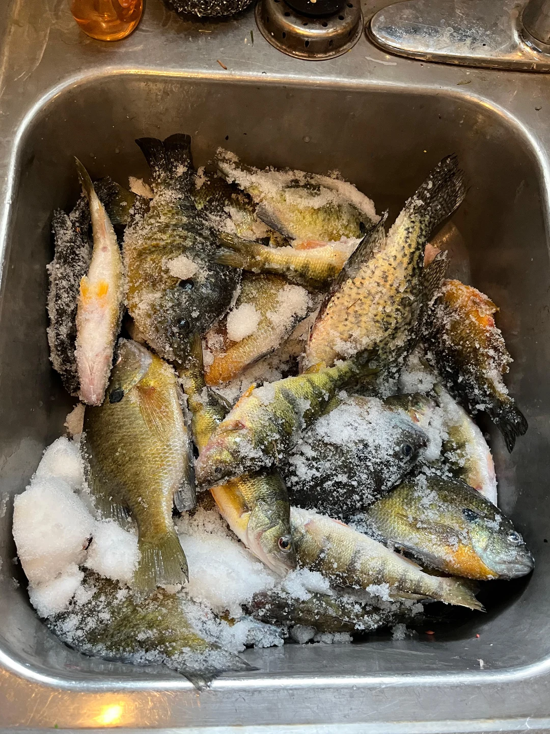 Not bad for first ice | Scrolller