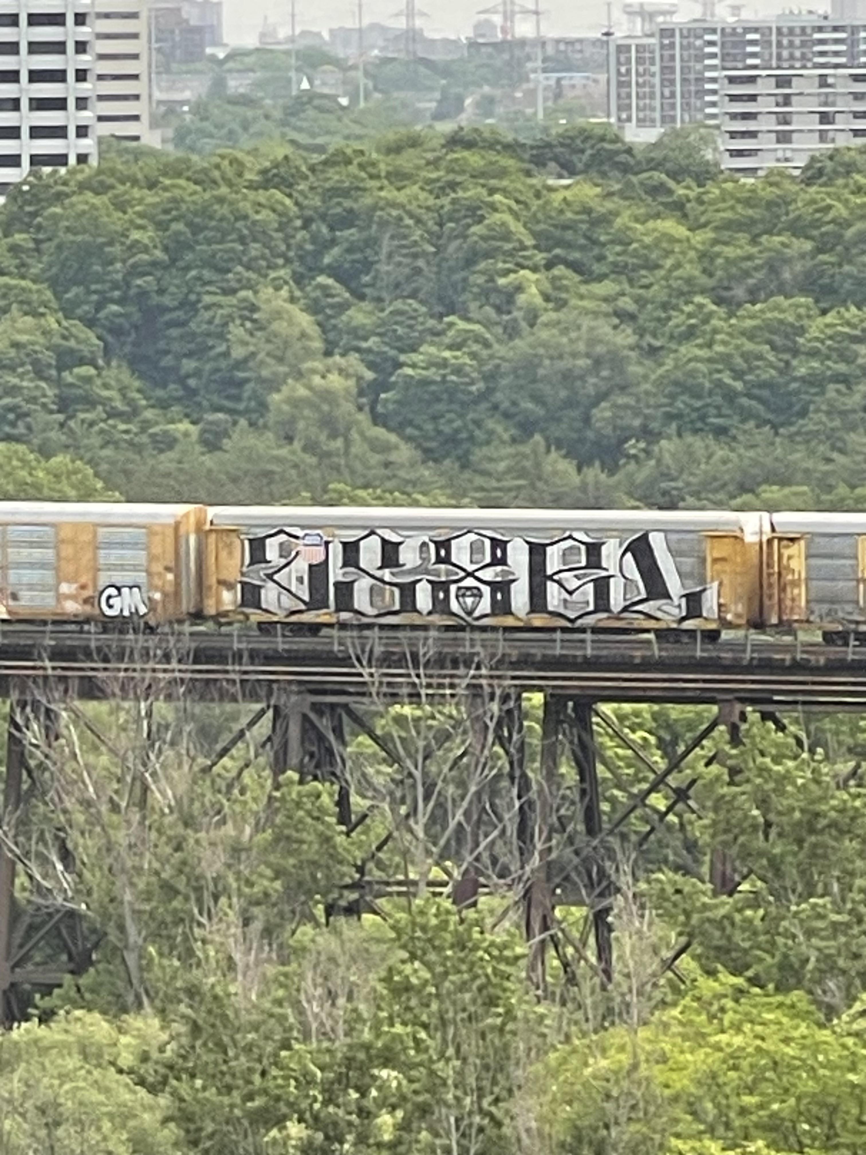 Question: | Scrolller