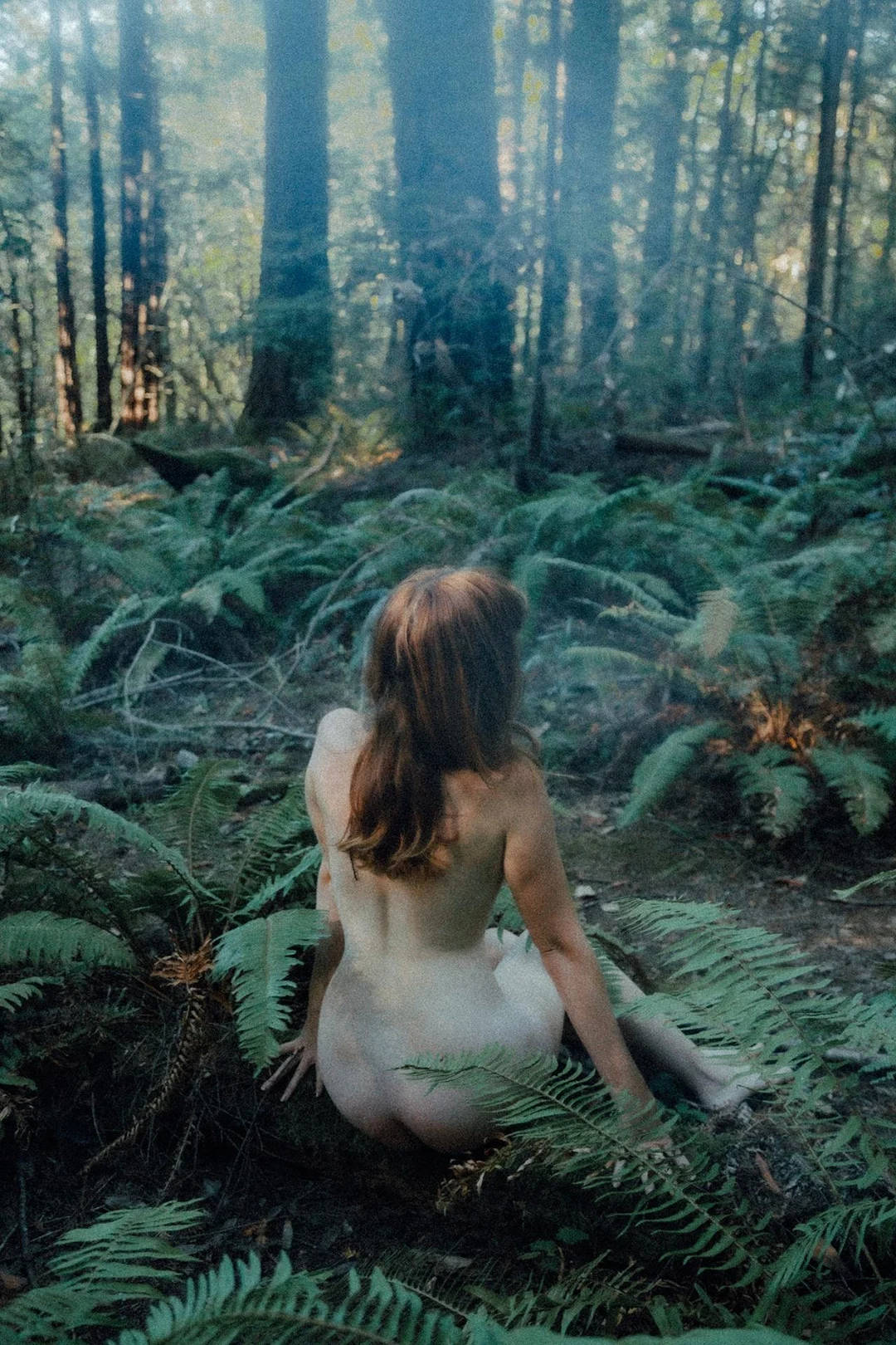 Grounding With the Fern Forest | Scrolller