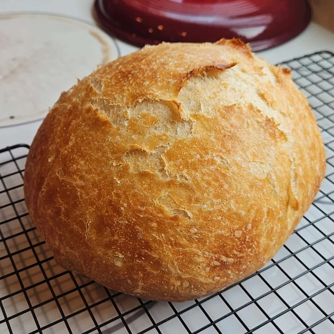 No knead recipe from Bob's red mill turned out great! | Scrolller