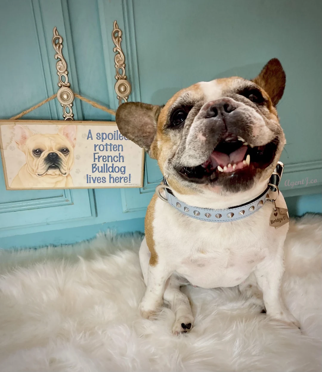 Bridget letting her happiness shine | Scrolller