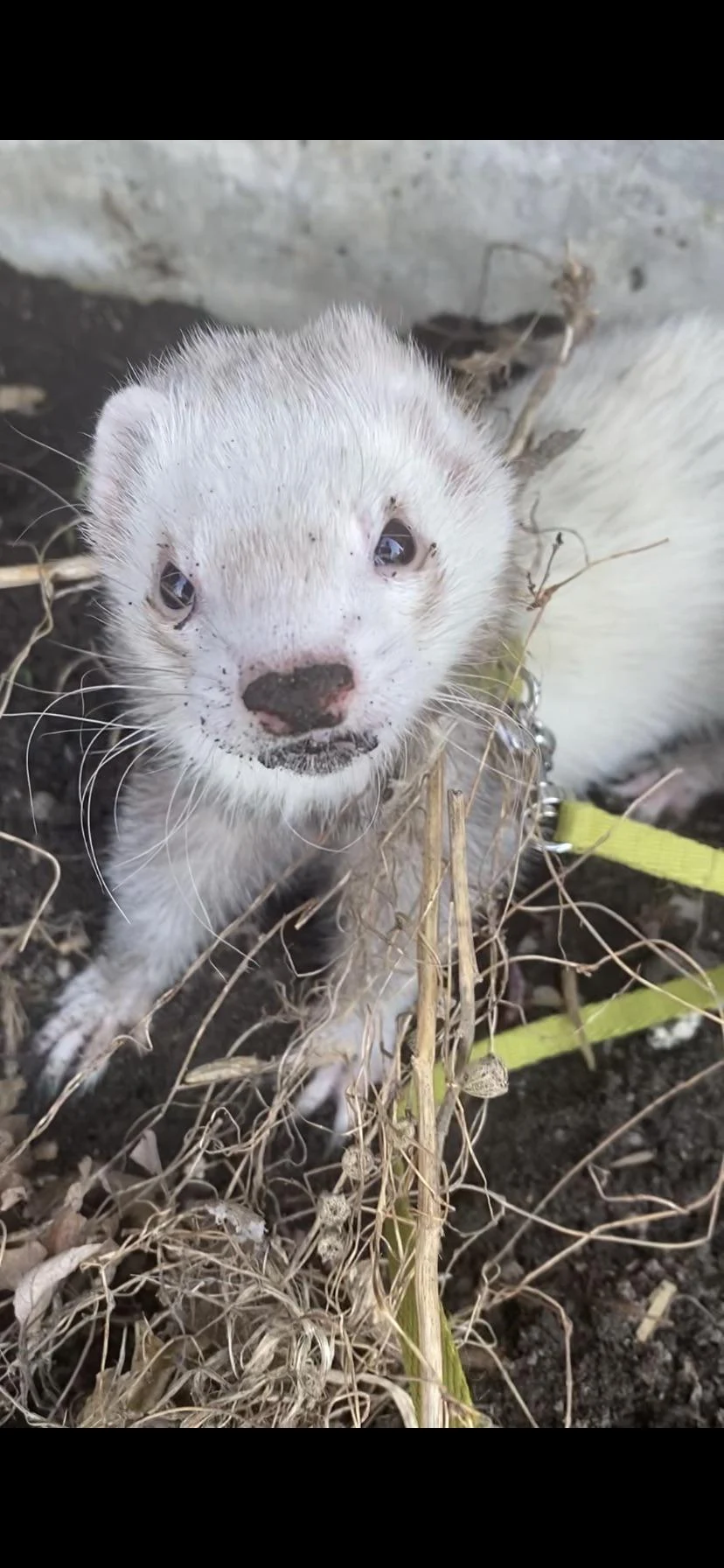 Spring time gardening | Scrolller