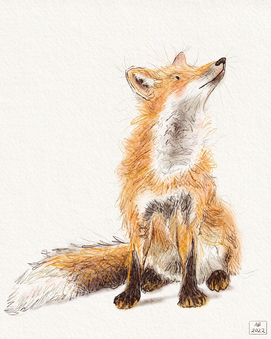 Fox, me, digital, 2022 | Scrolller