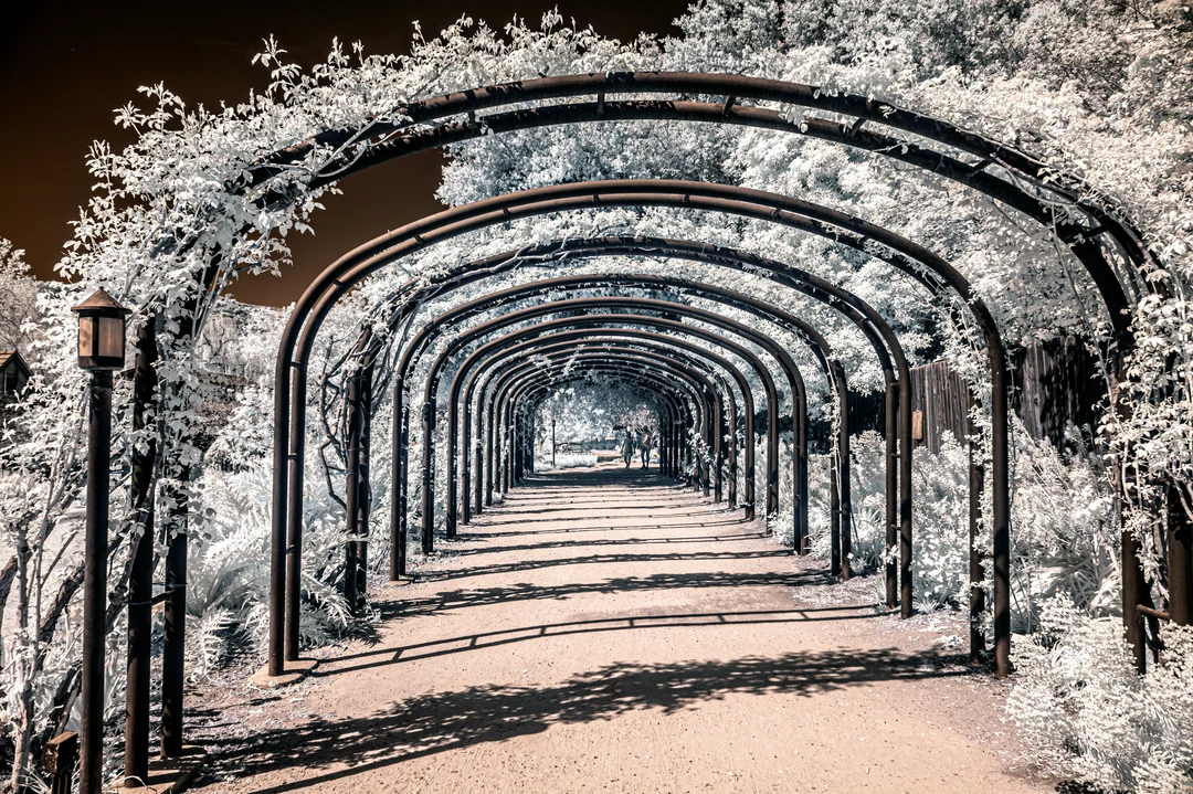 Yesterday | Scrolller