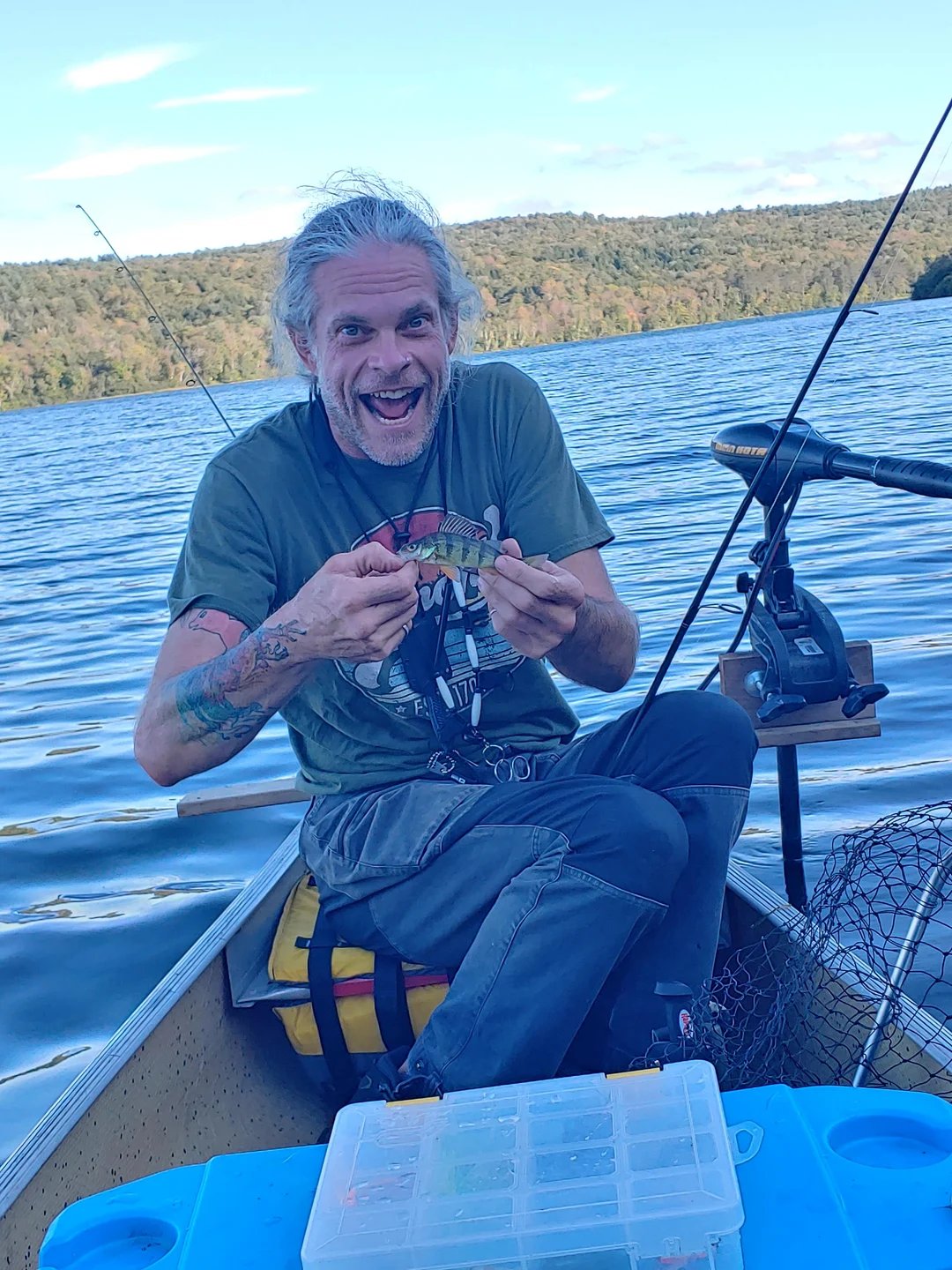 Tiny Perch | Scrolller