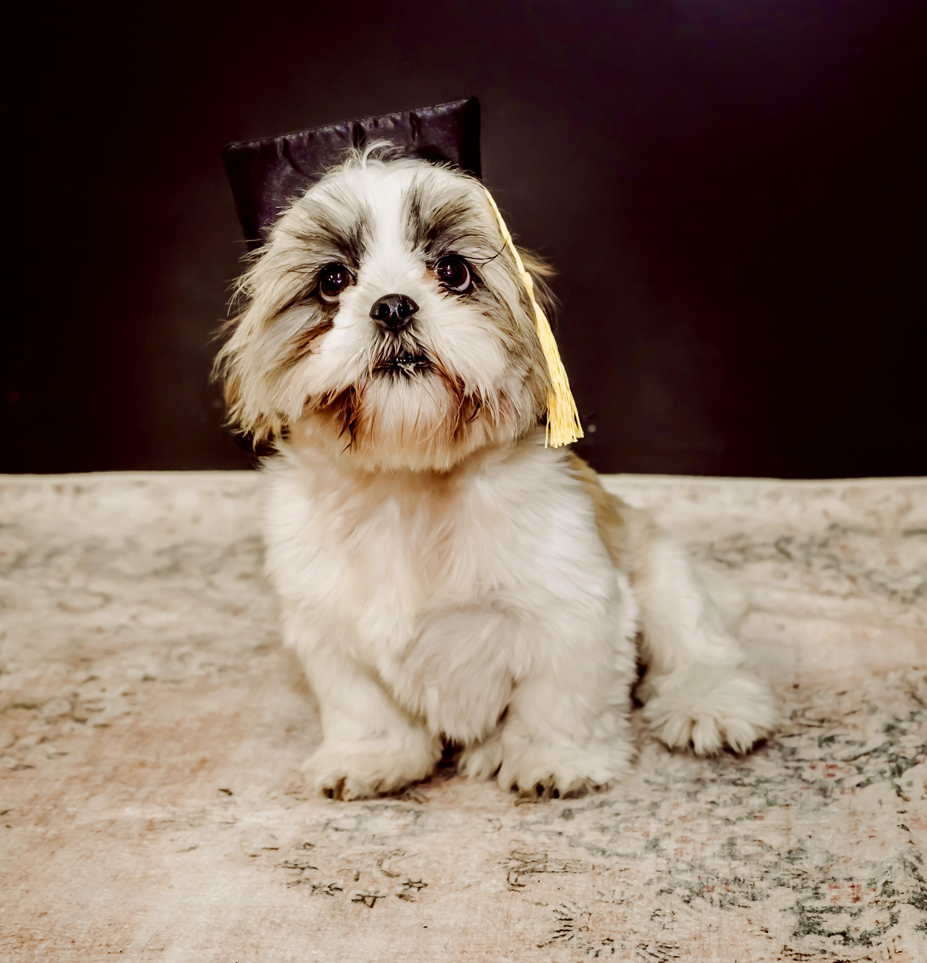 Graduation Day | Scrolller