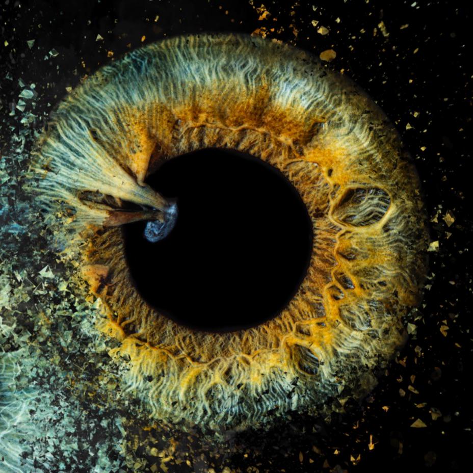 What is this anomaly? | Scrolller