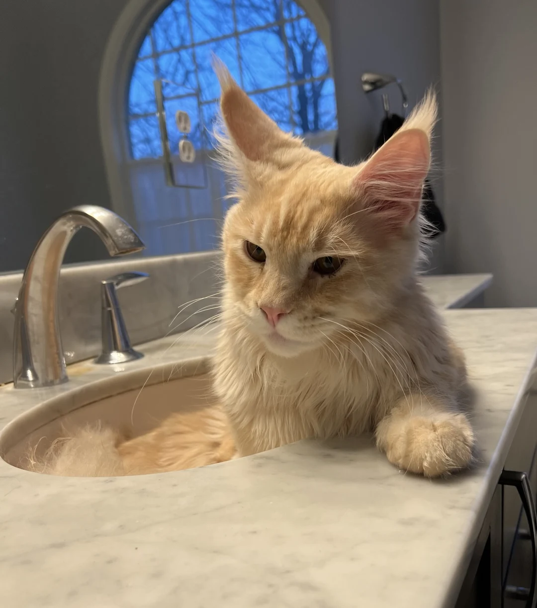 Whiskey. Neat. 🥃 | Scrolller