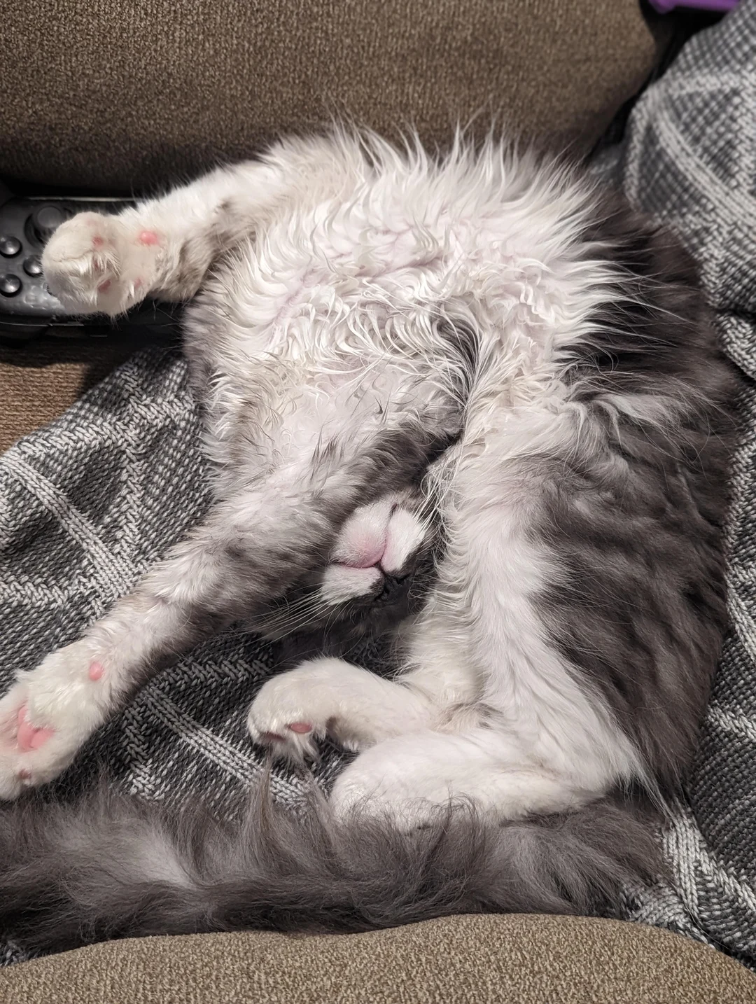 Quite the contortionist! | Scrolller