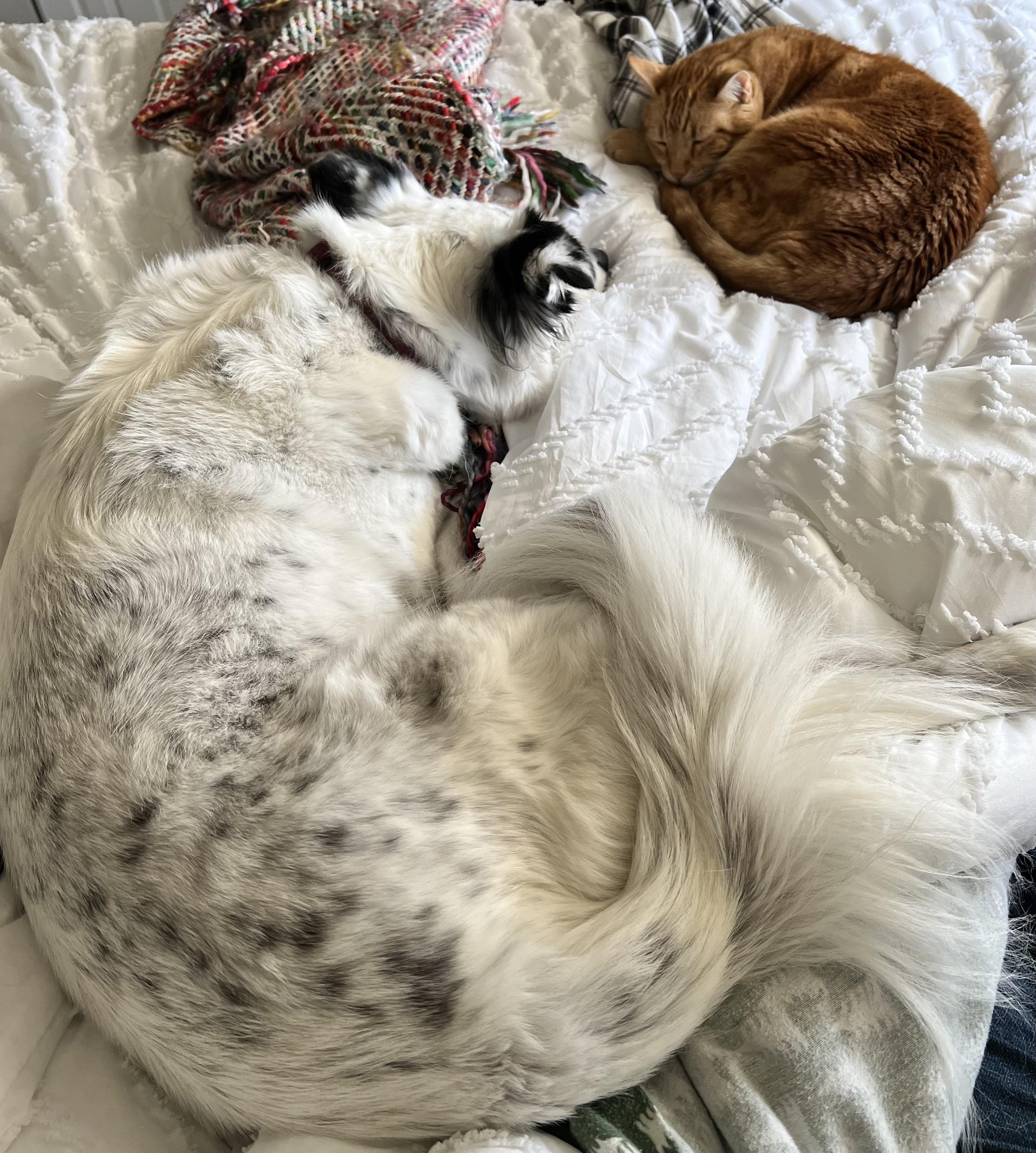 Close, but not quite! | Scrolller