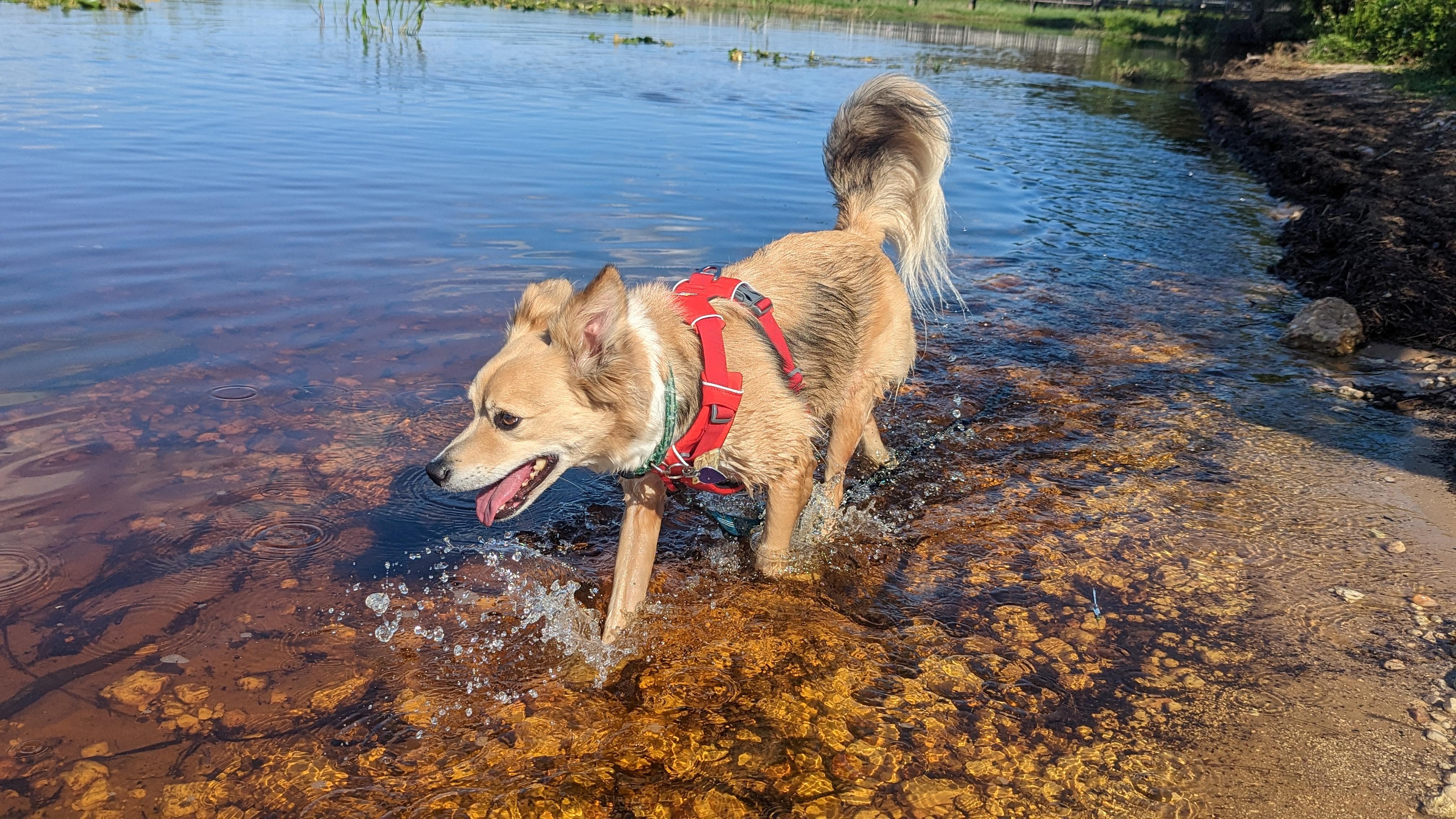 Cooling off! | Scrolller