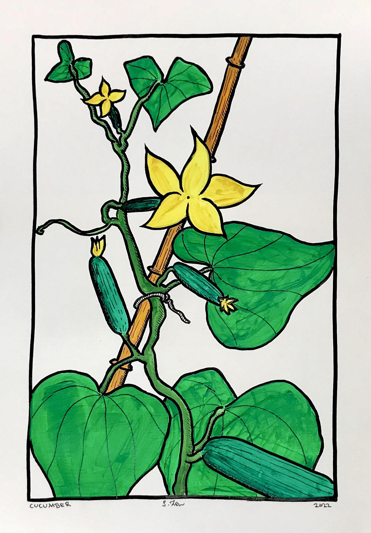 Cucumber, ink on paper, S.Lew,2022 | Scrolller