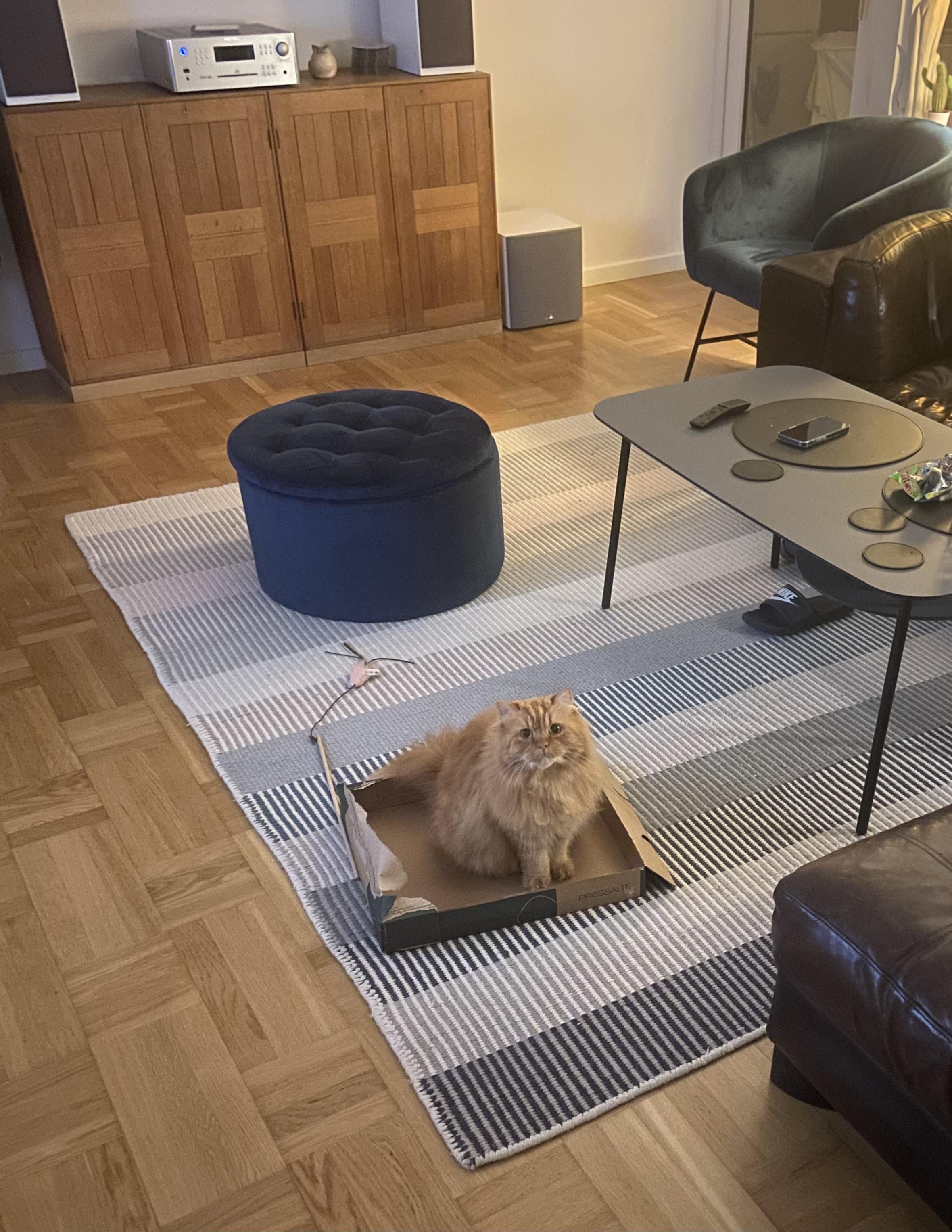 Success! | Scrolller