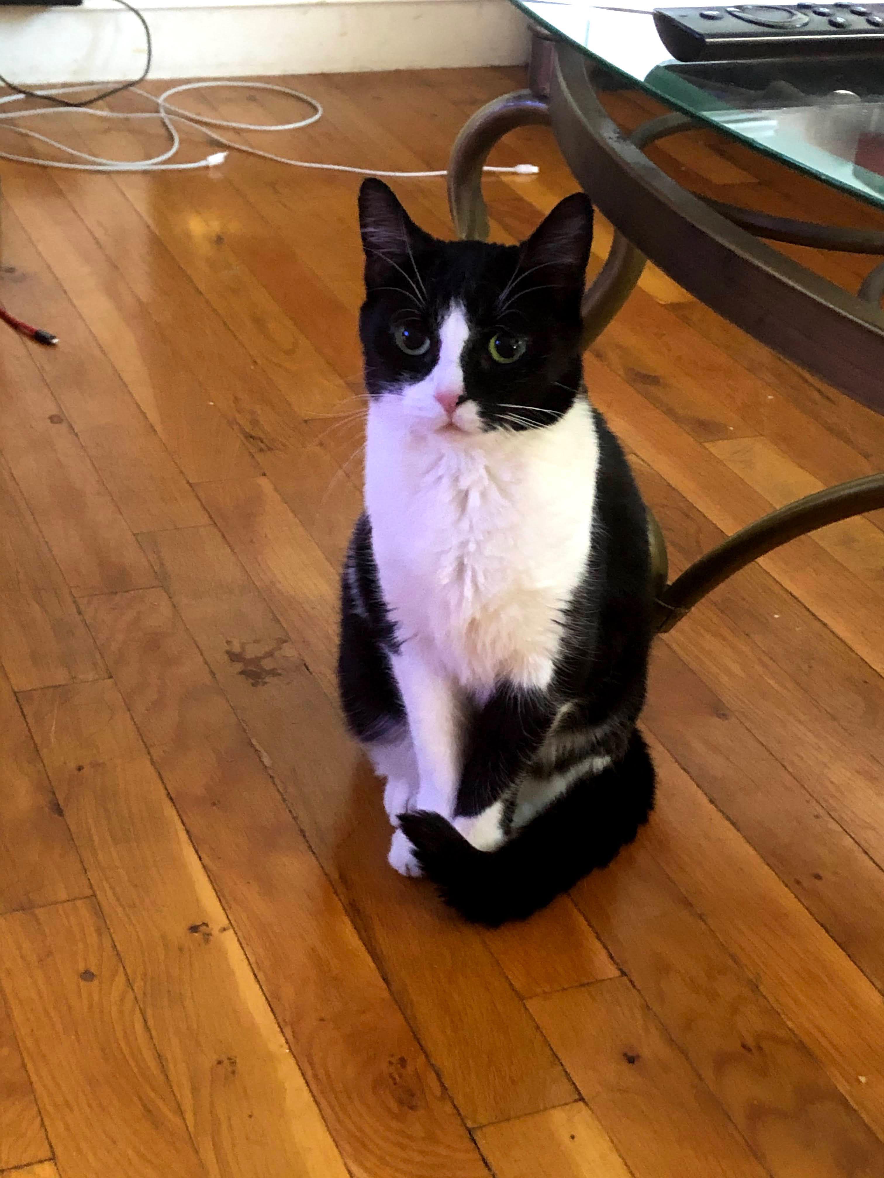 My girl Diego looking quite serious. | Scrolller