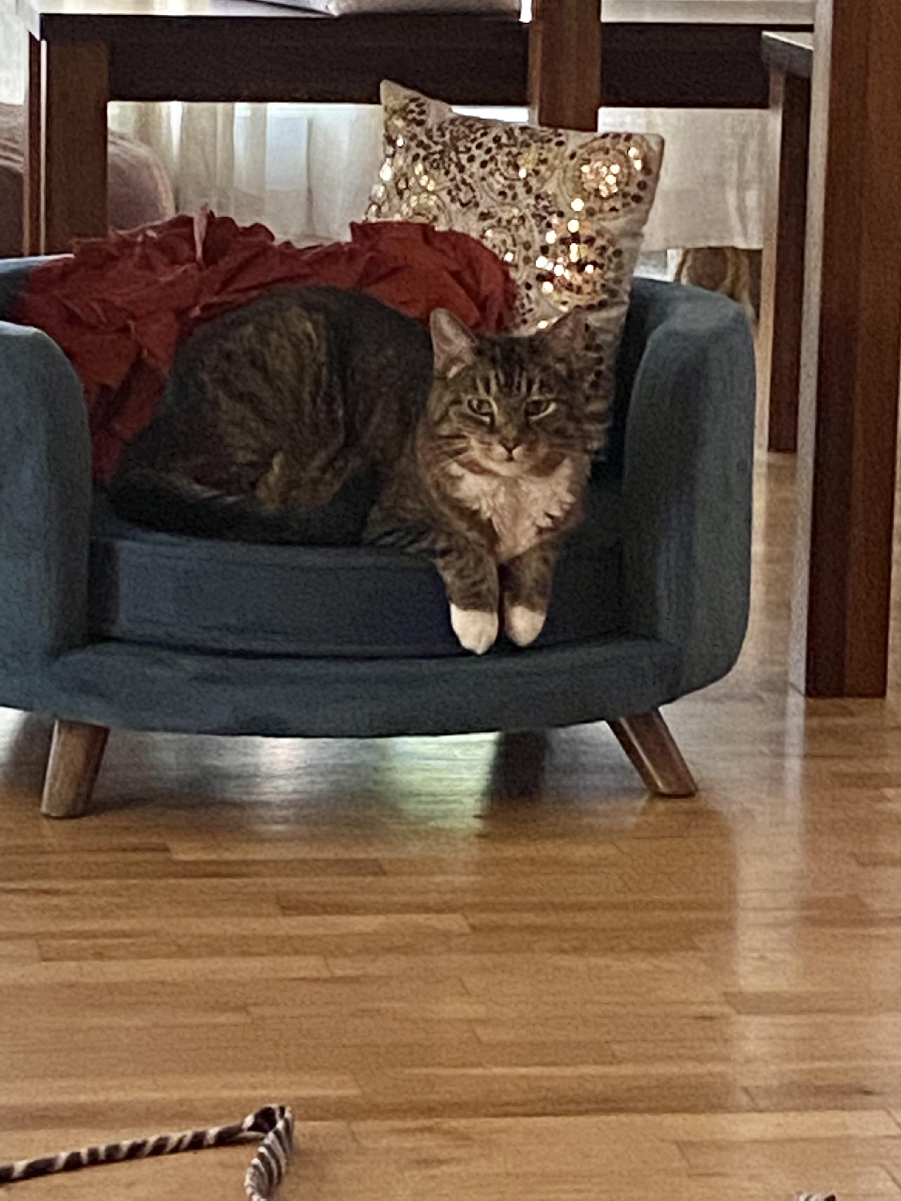 Supermodel SIC | Scrolller