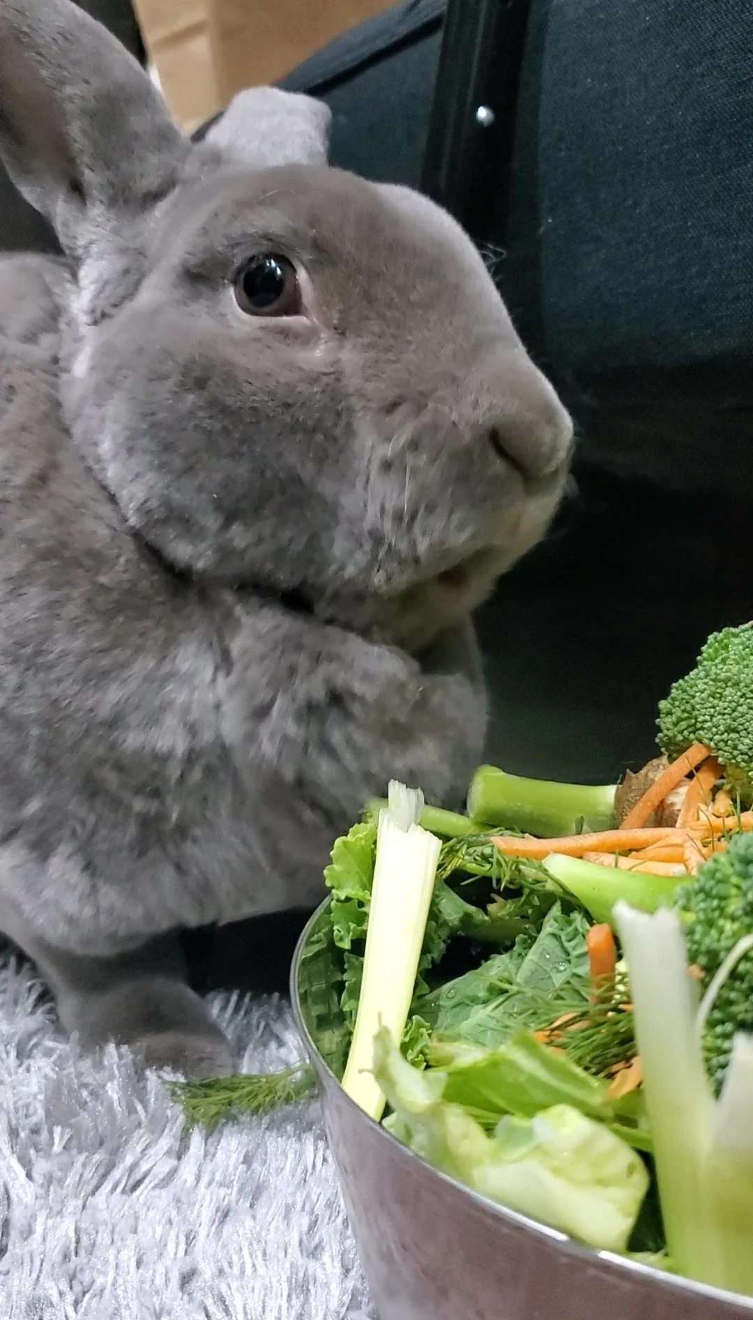 Oswald's shocked by his salad | Scrolller