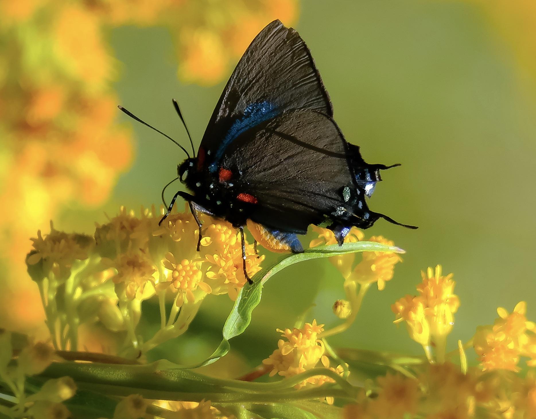 “You do not just wake up and become a butterfly, growth is a process” | Scrolller