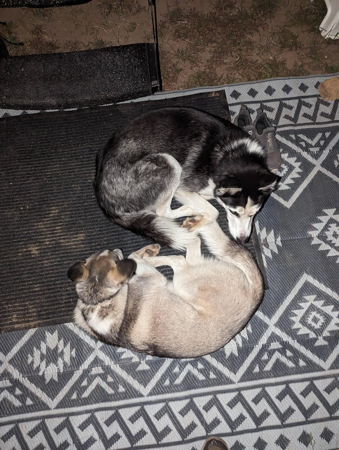 Yin and Yang | Scrolller