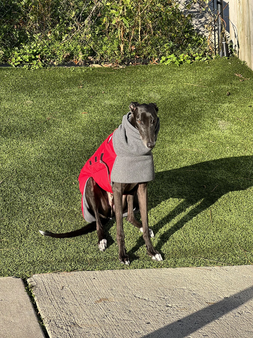 We HATE the cold. | Scrolller