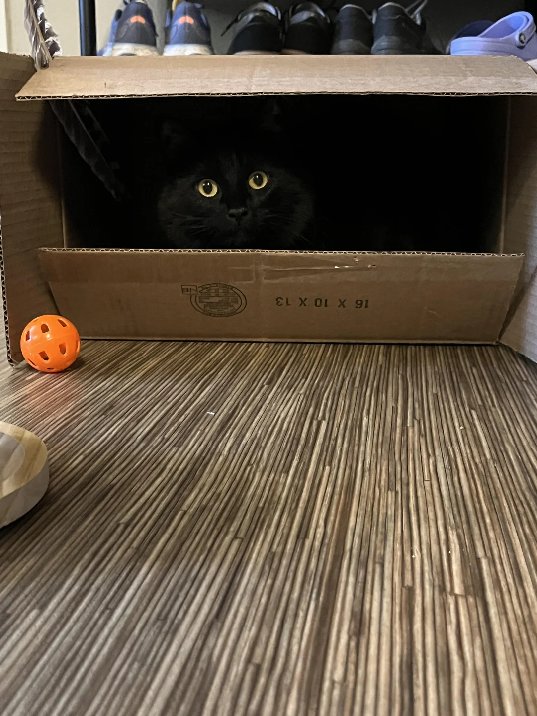 Discover more like Catsinboxes: Box void and Related Content | Scrolller
