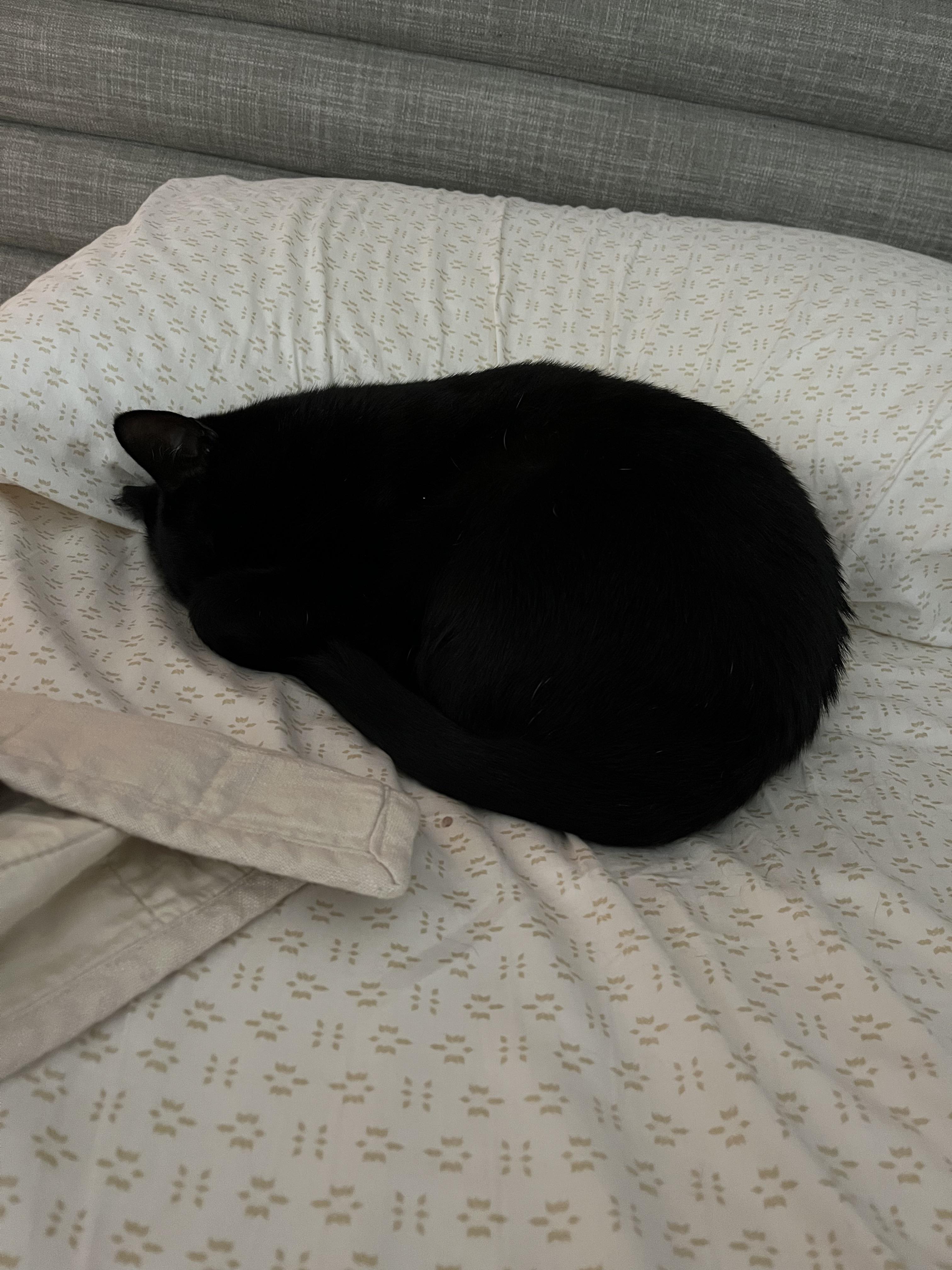 Bed void | Scrolller