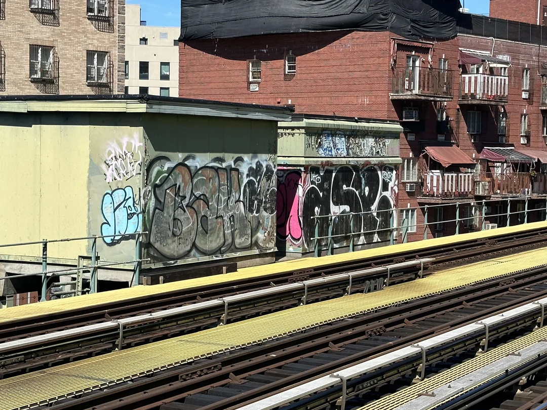 Brooklyn | Scrolller