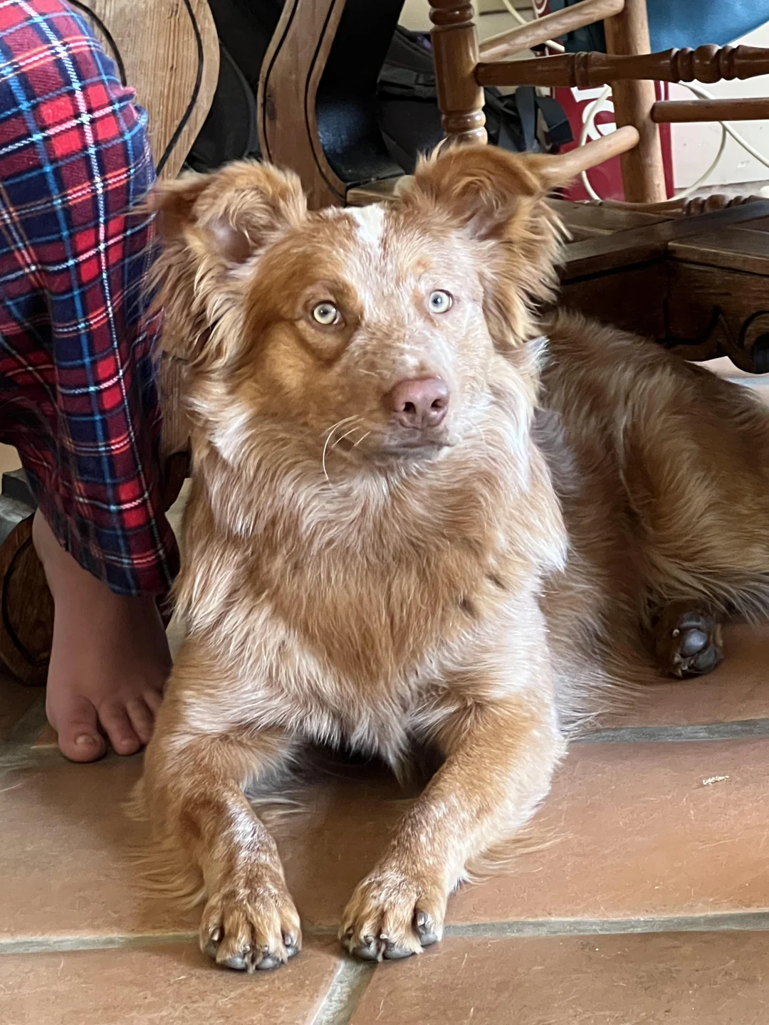 “You came home early?” | Scrolller