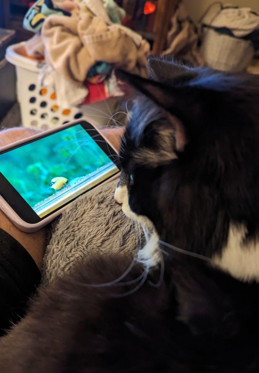 iPad Kid 🐱 | Scrolller