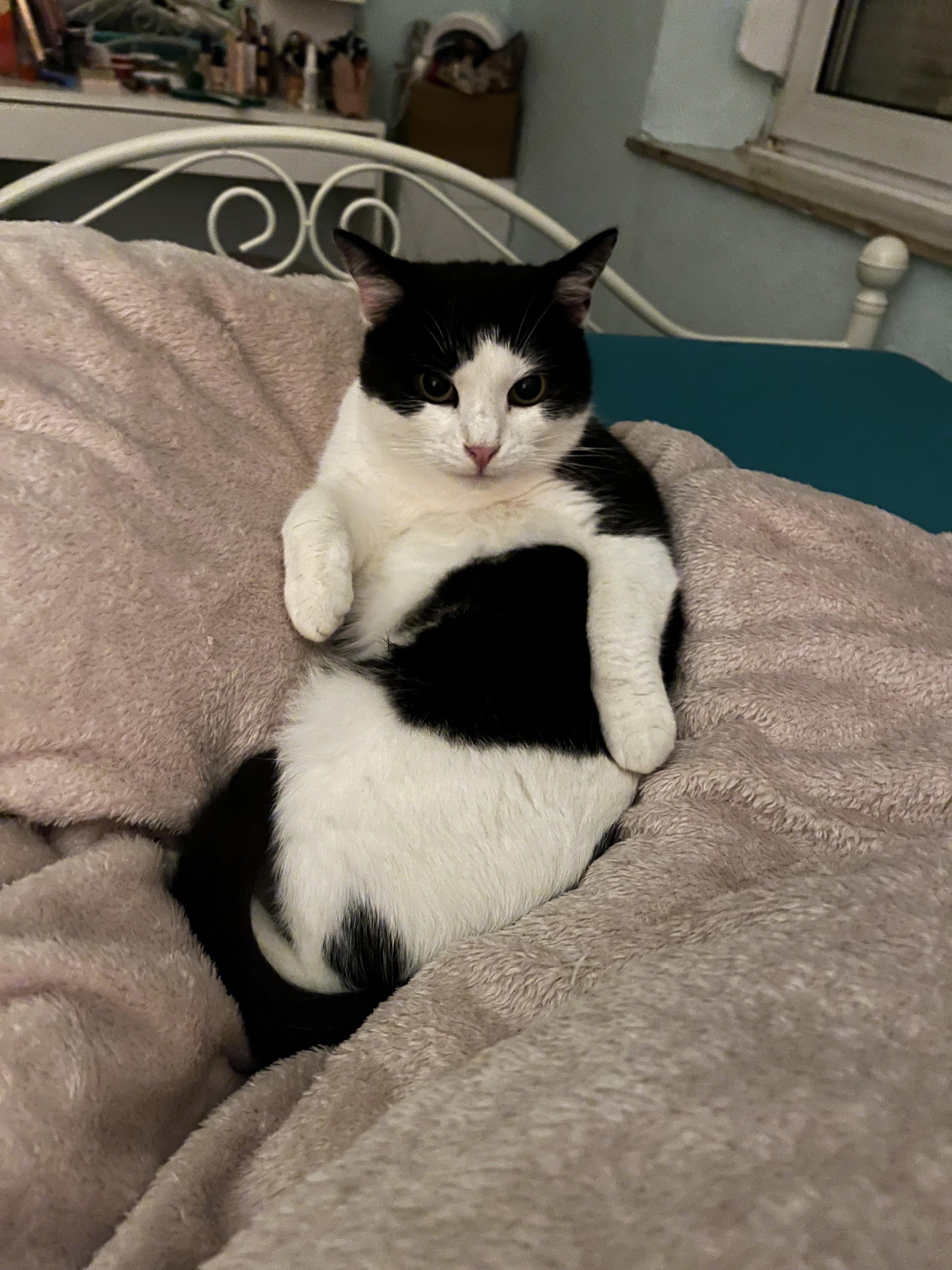 He’s chilling | Scrolller