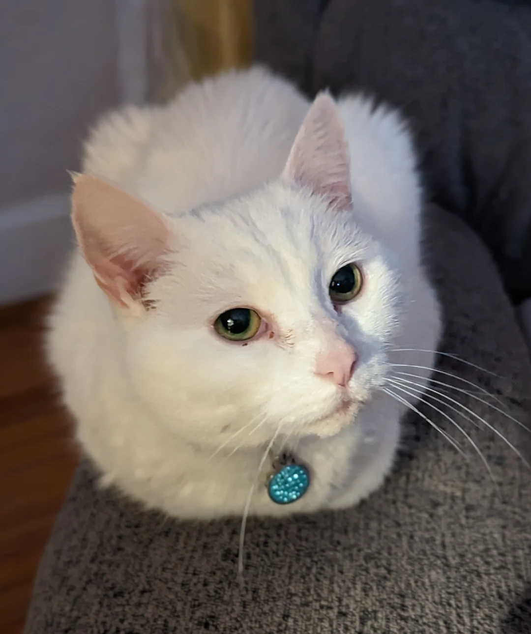 Fresh baked. | Scrolller