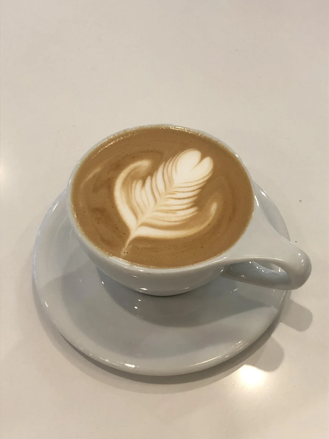 Help! Trying to make a rosetta... what did I do wrong here? | Scrolller