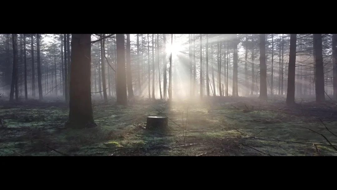 Discover more like Funny: [OC] You can meet the most interesting people wandering around the ...