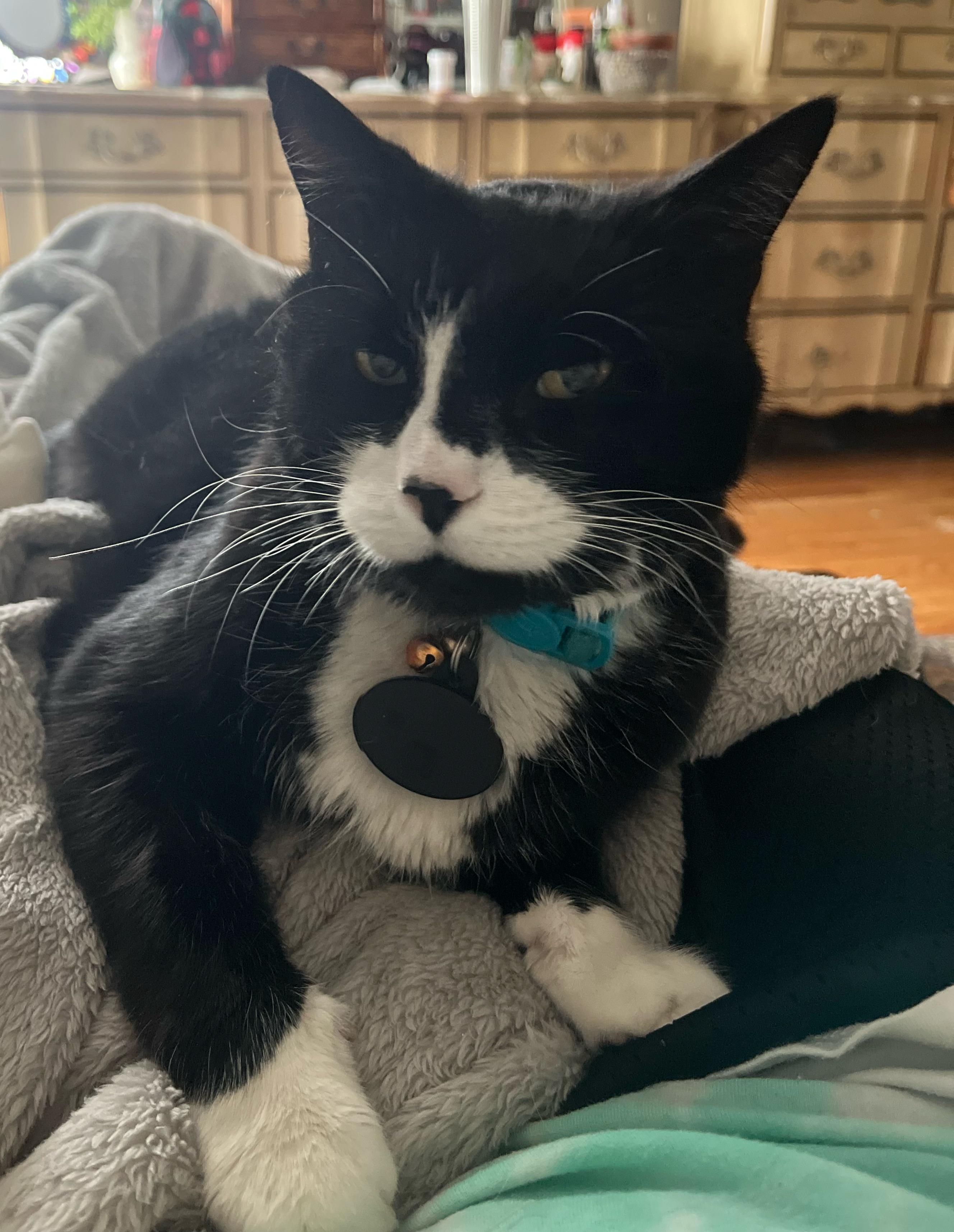 My child | Scrolller