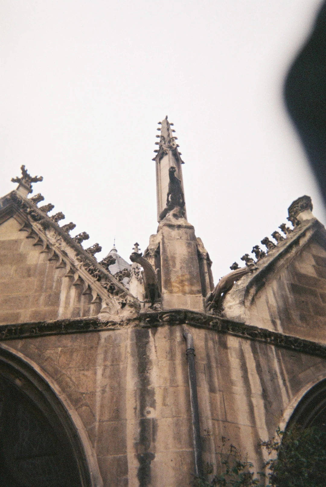 gargoyles | Scrolller