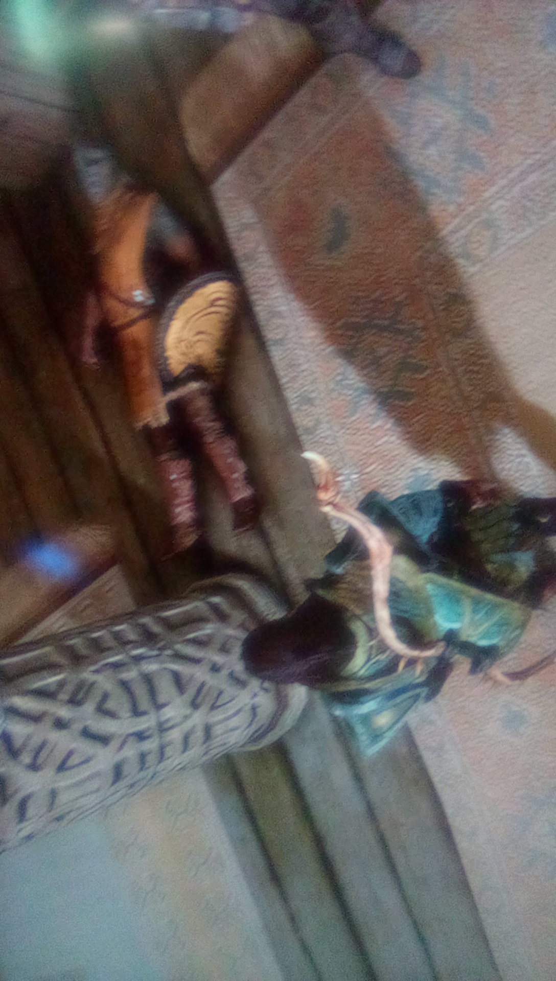 Skyrim in all its glory | Scrolller