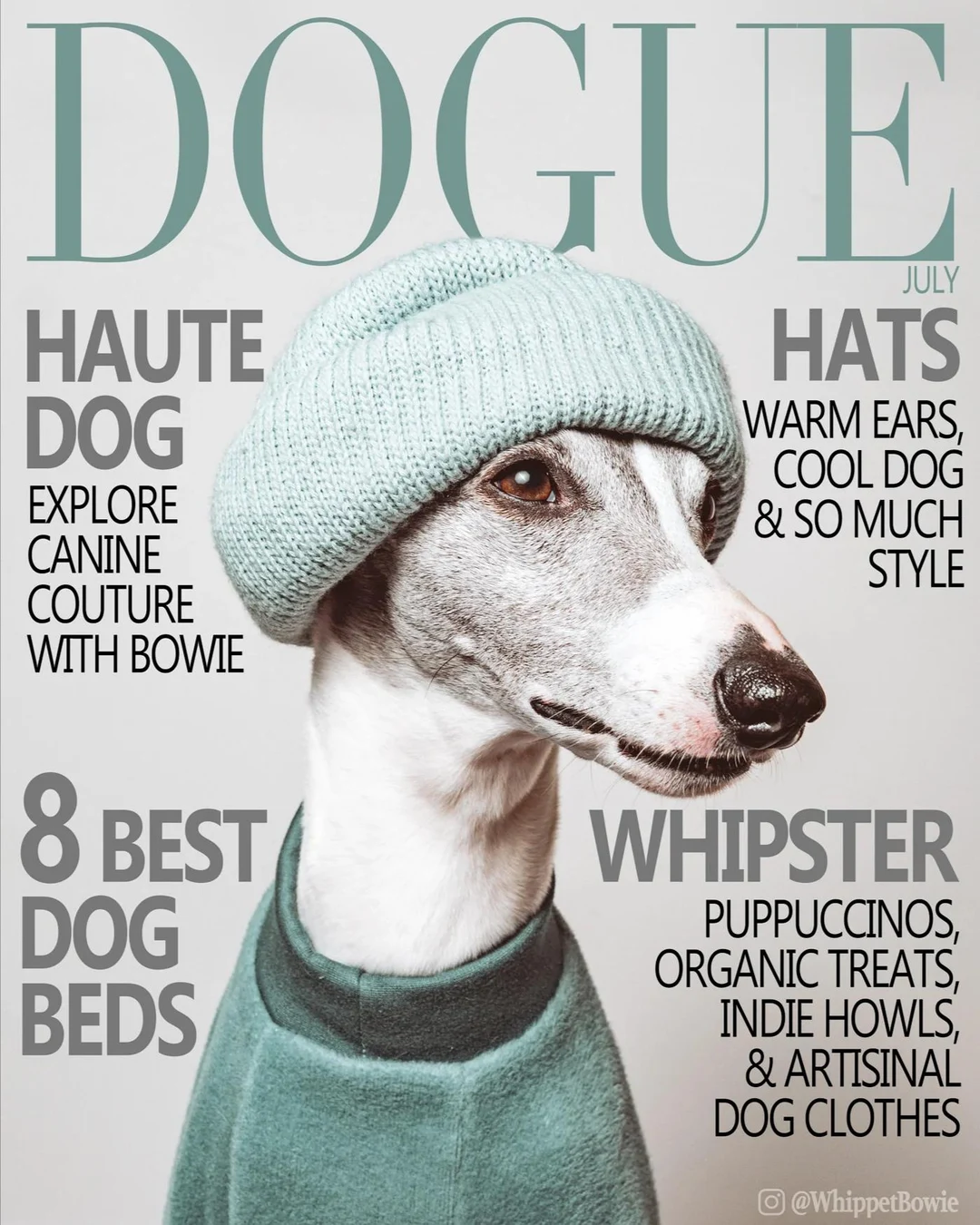 Anya x Whip | Scrolller