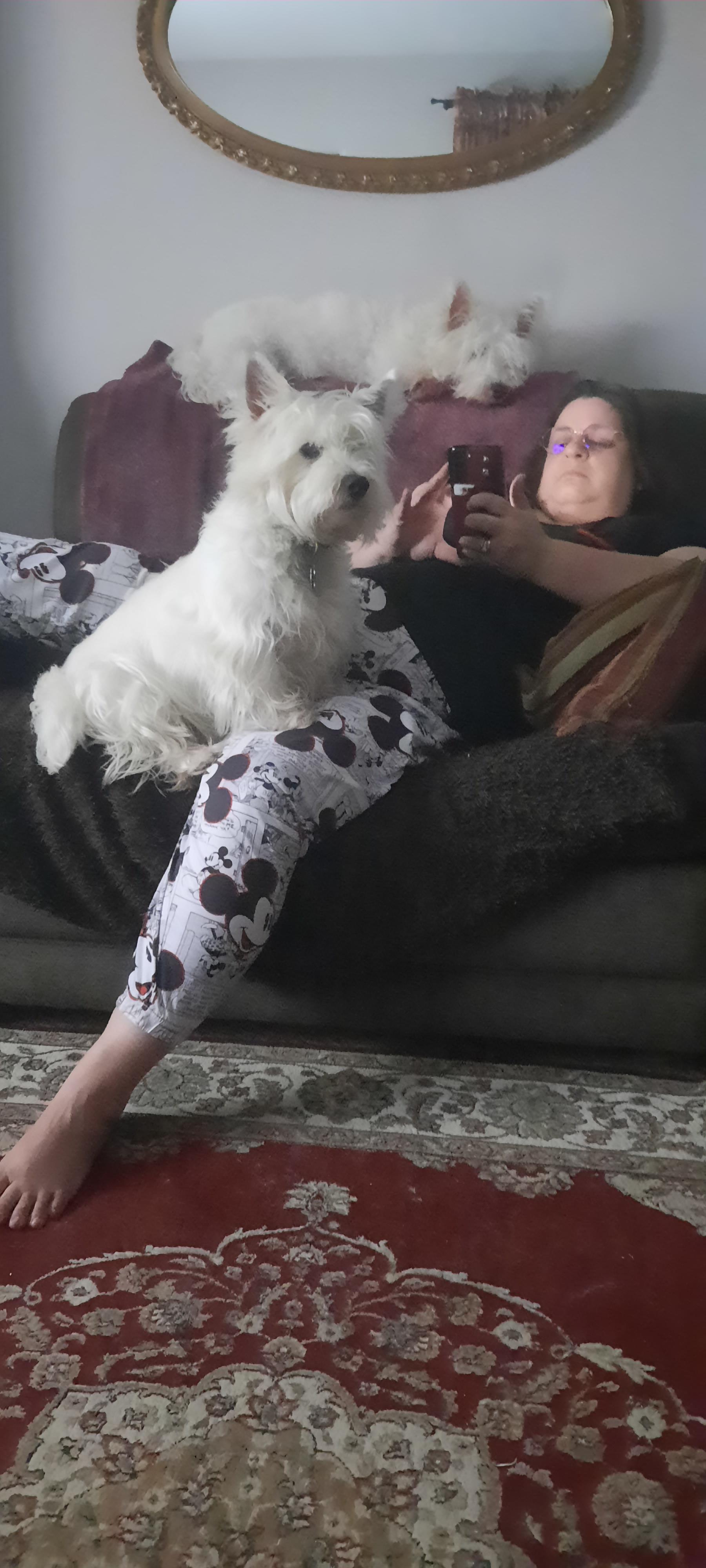 Typical Saturday night. | Scrolller